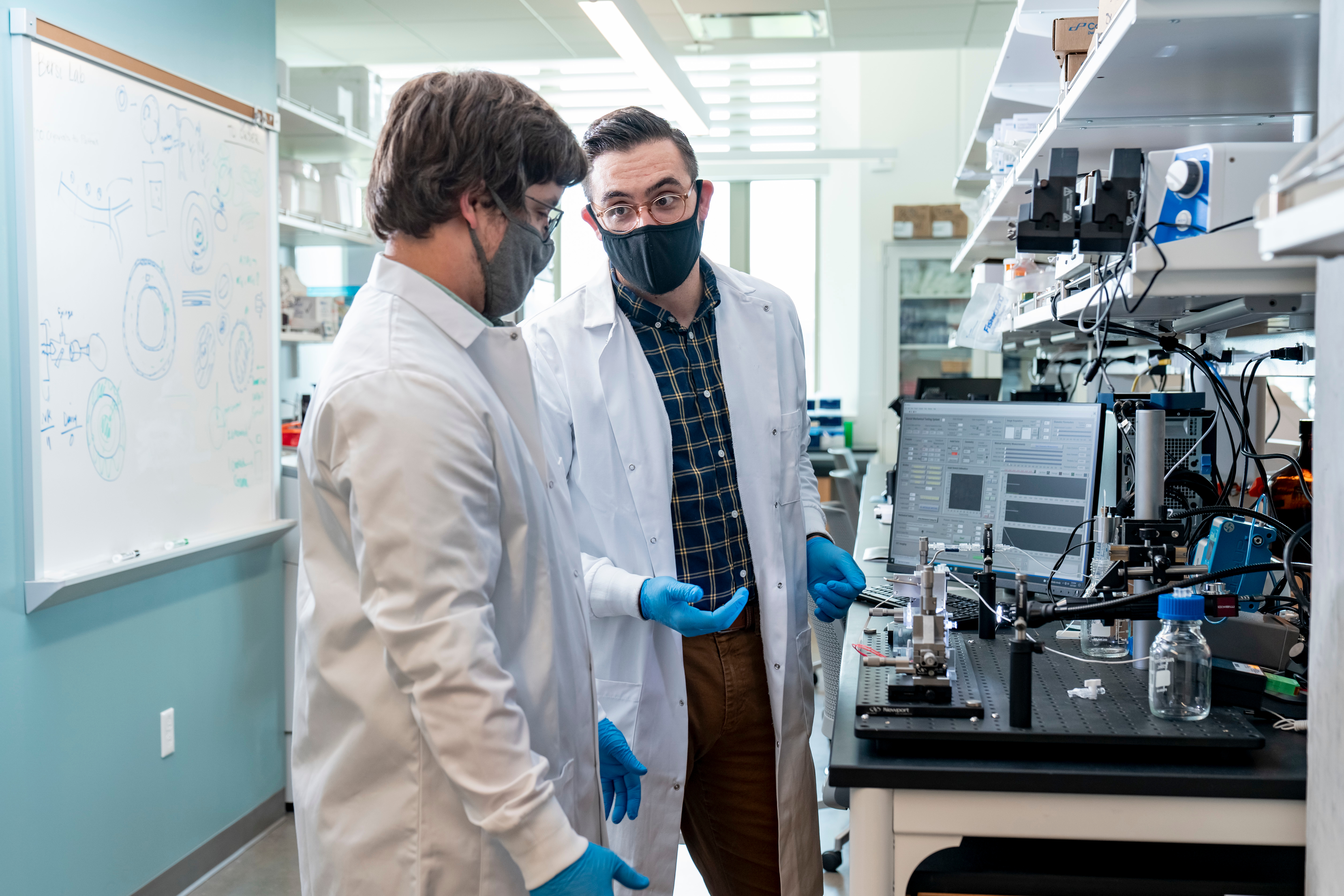 Bersi named 2025 Young Innovator in Cellular and Molecular ...