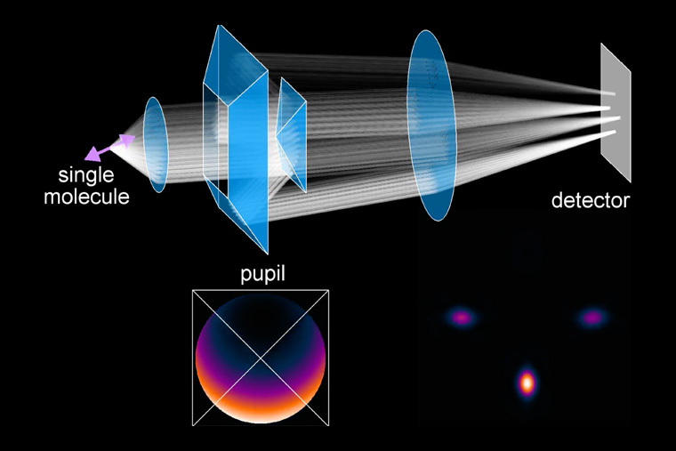 Telescope-inspired microscope sees molecules in 6D | WashU McKelvey School of Engineering