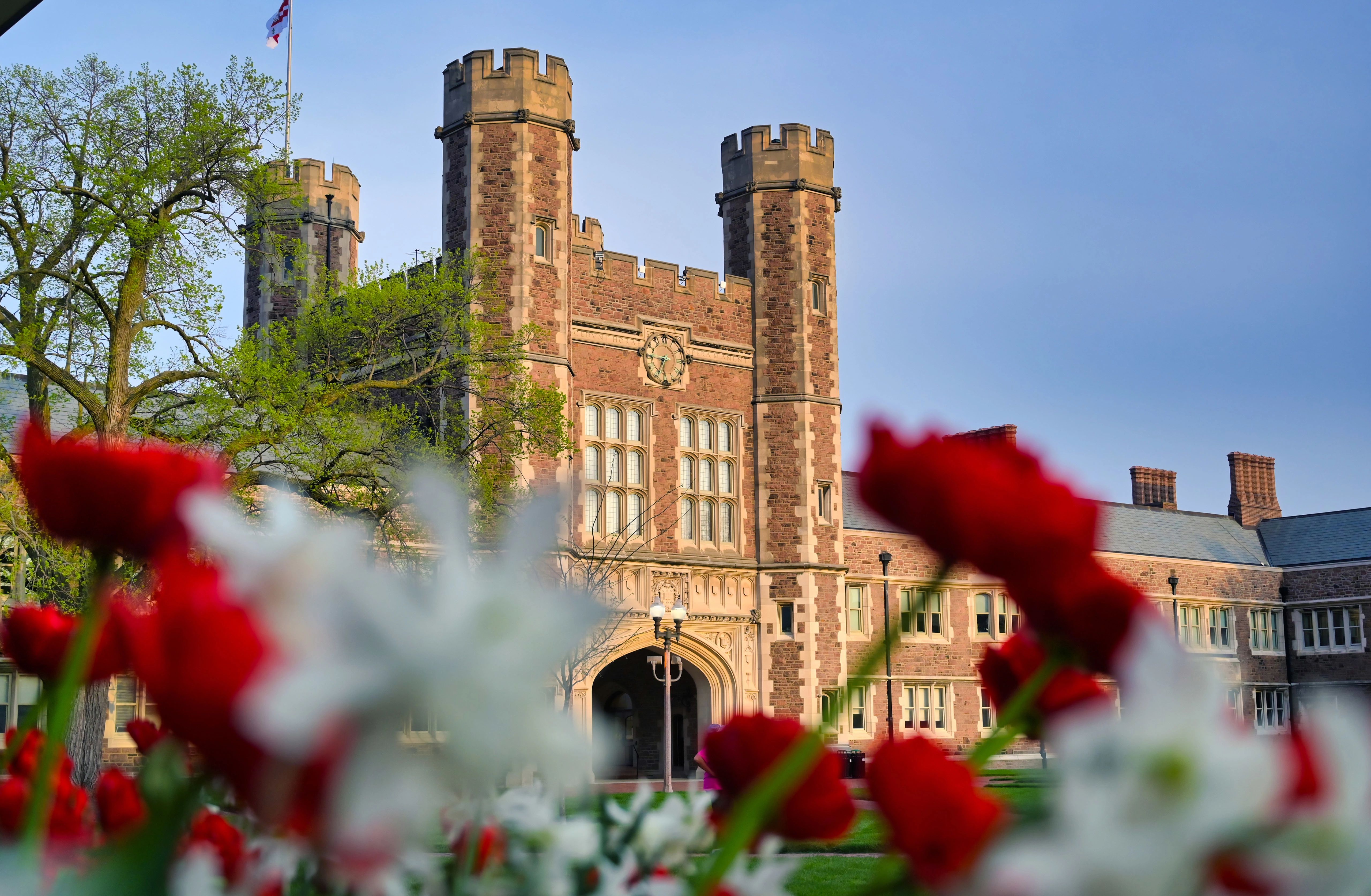 McKelvey Engineering faculty members awarded Spring 2025 Here and Next ...