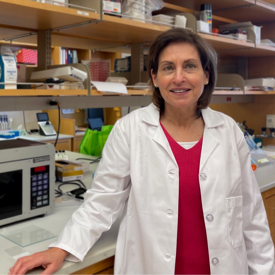 Setton receives 2022 Lissner award from ASME | WashU McKelvey School of ...